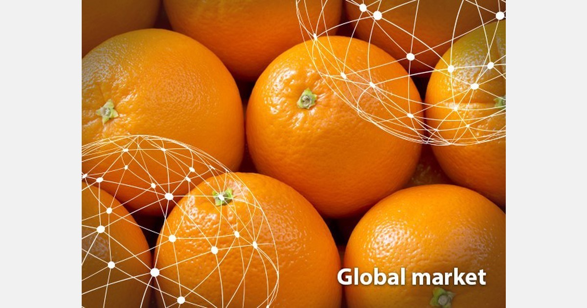 OVERVIEW GLOBAL ORANGE MARKET