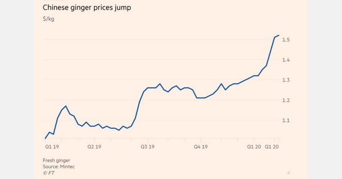 Coronavirus causes global ginger prices to escalate