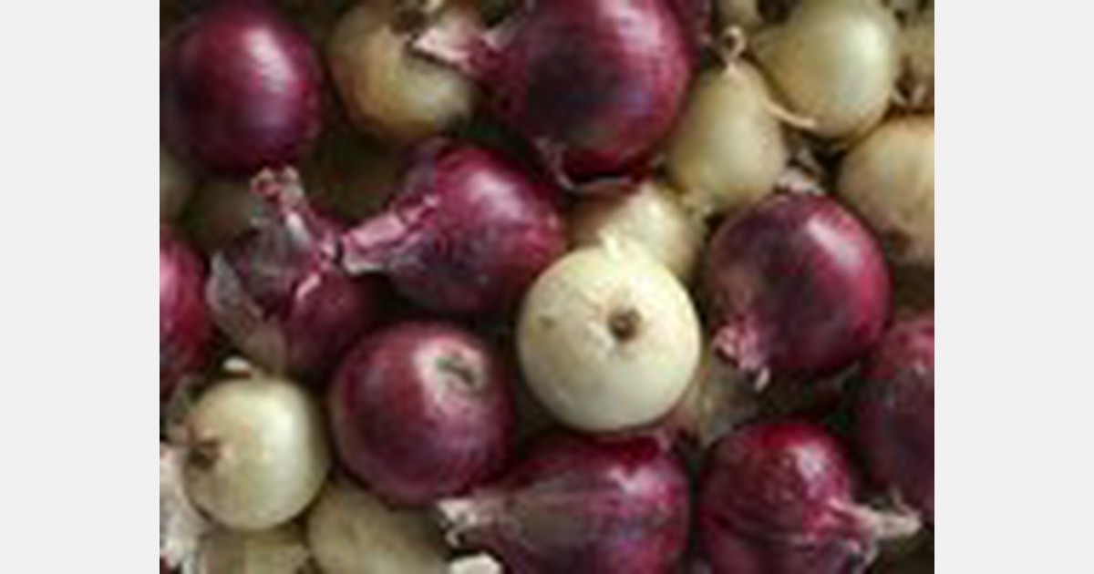 New Zealand onion growers celebrate re-opening of Indonesian market