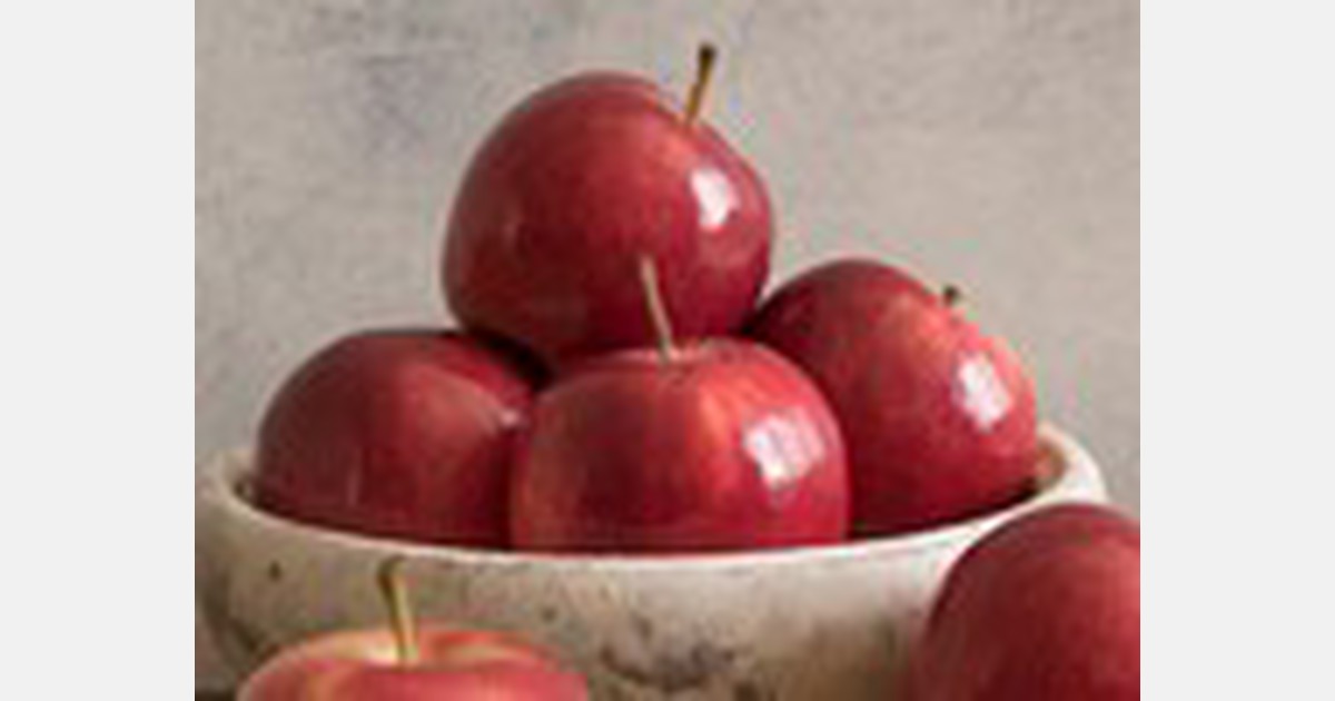 Modi® Apple announces corporate partnership with BCNA for its 2020 campaign