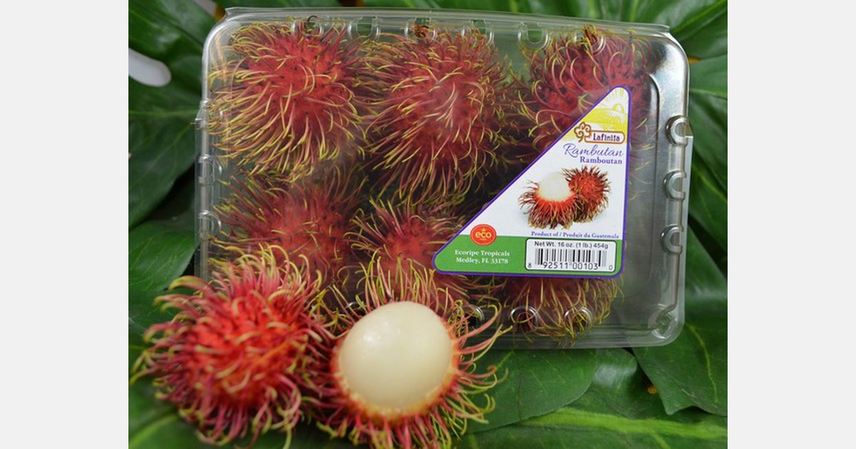 Rambutan hopes to see ginger/turmeric-like boost in demand