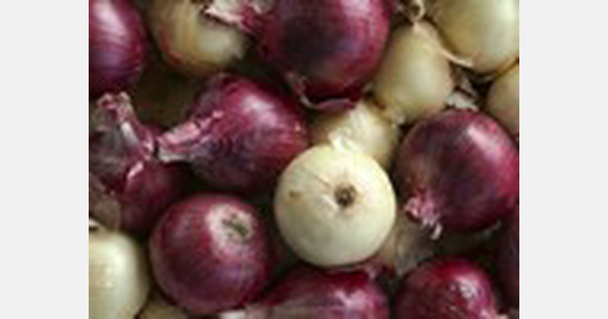 Onion export duty lifted in Iran