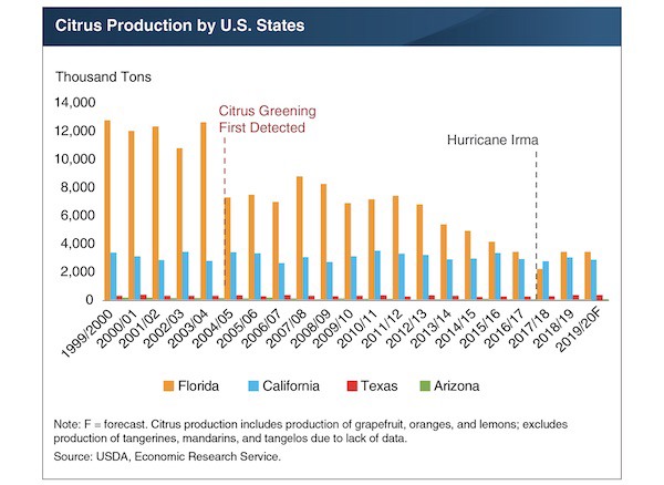 HLB caused falling production in Florida, but production is forecast to ...