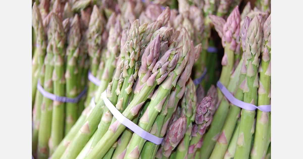 Shipments to start this week on Michigan asparagus crop