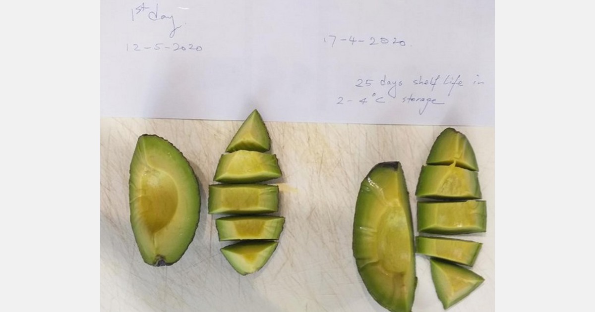 "Sellable fresh cut avocado getting closer"