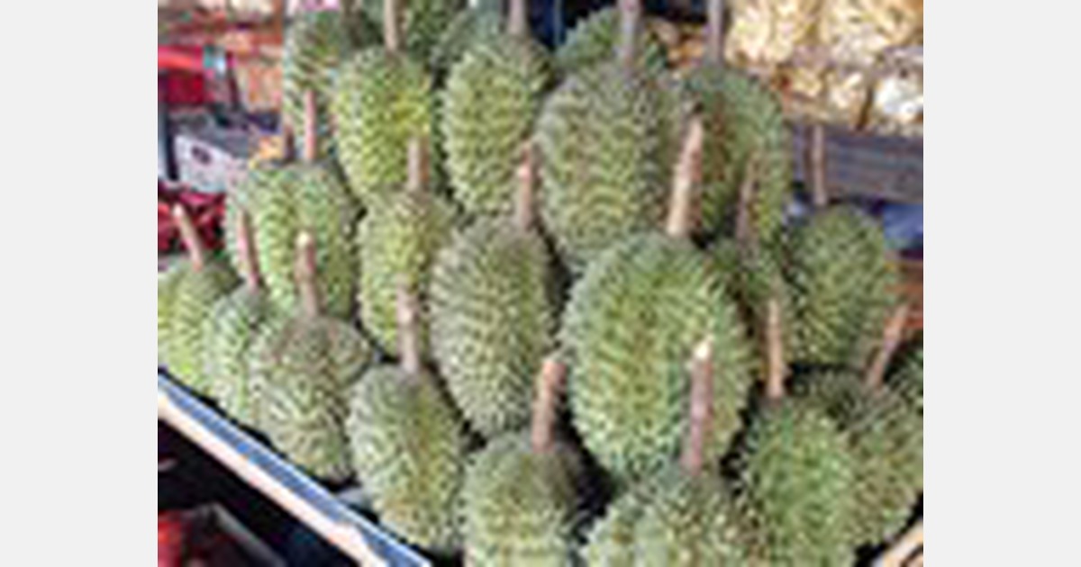 Bullish 2020 for Malaysian durians, but not without issues