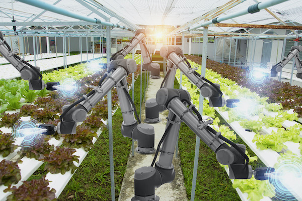 How technology can help the produce industry be more efficient and flexible