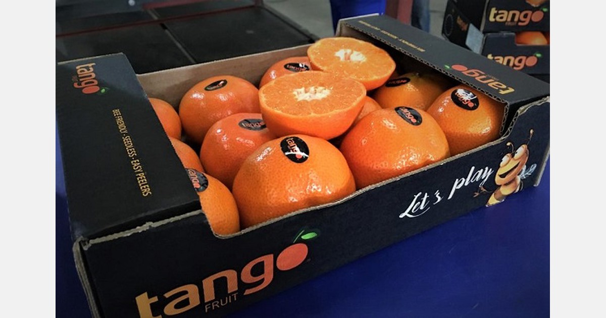 Start of an excellent Tango season