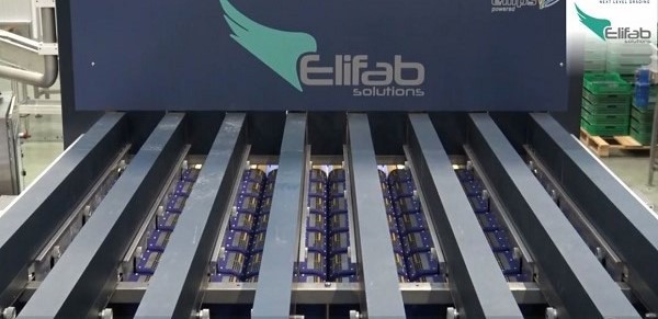 Elifab, high-speed electronic blueberry sorter, available in South Africa