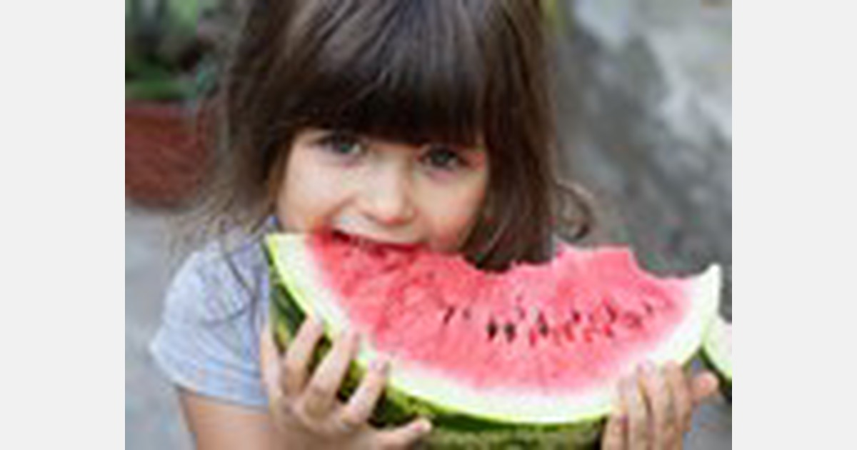 Turkestan region exports up to 6,500 tons of watermelons