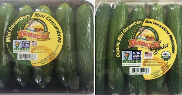 “Demand for our mini cucumbers is higher now than it was pre-pandemic”