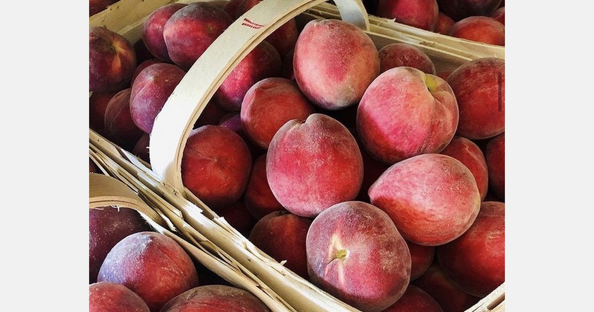 Strong demand and supplies of Georgia peaches