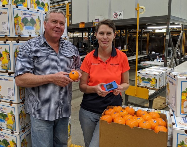 Improving the citrus export cold chain