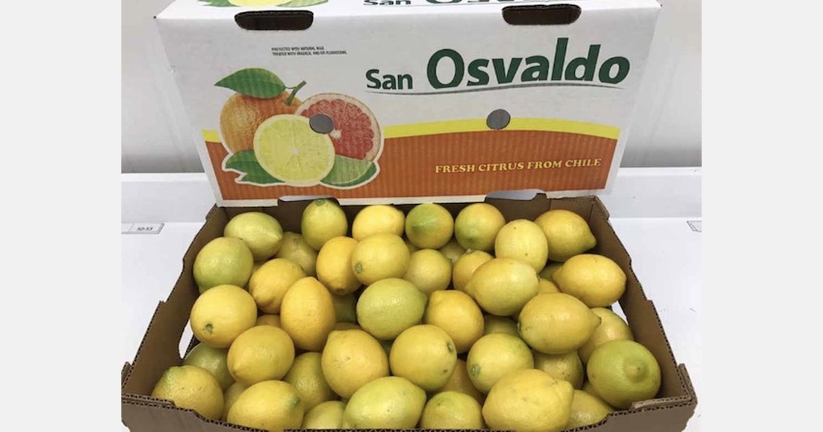 Chile’s lemon season faces interesting opening in China