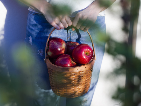 Envy™ apples have seen double-digit growth in sales in 2019-2020 WA season