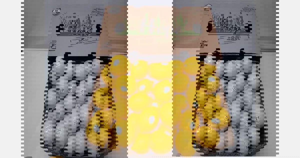 Low domestic volumes make for strong US import market for lemons