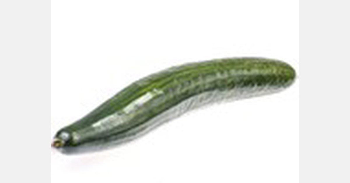 Bio-wrap: suitable for everything from cucumbers to magazines