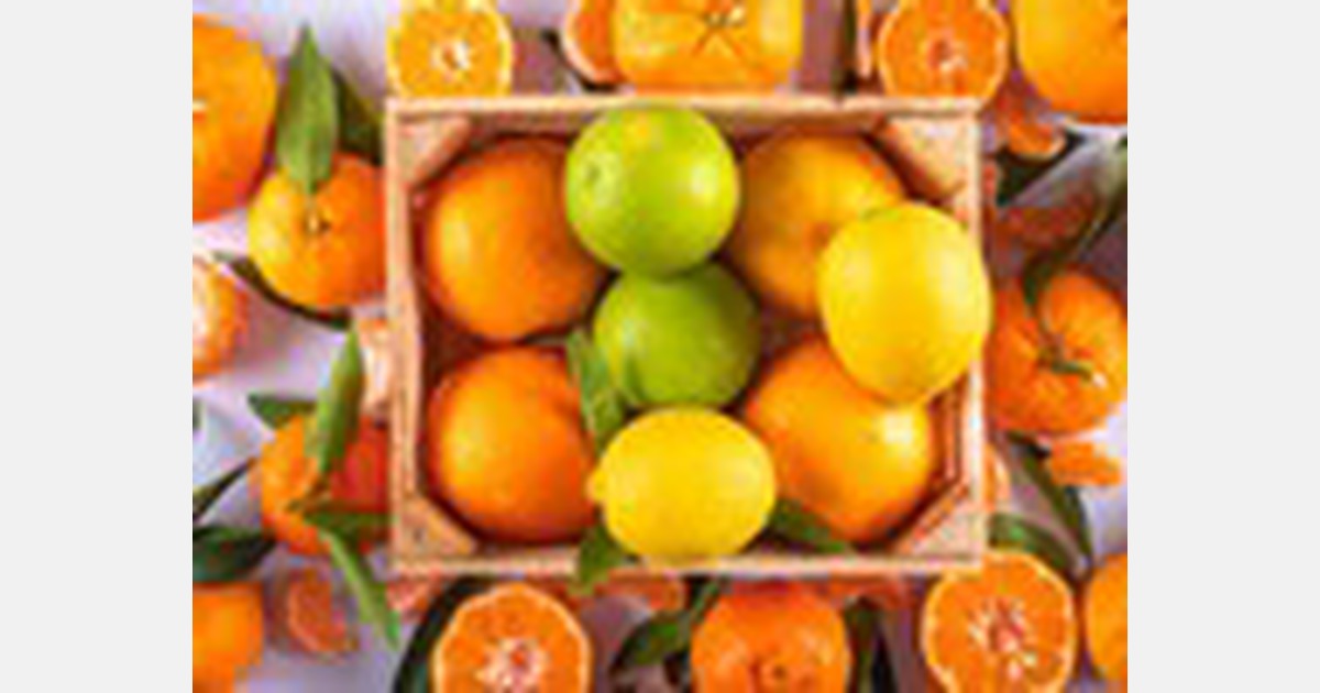 Spain: Road map for the citrus sector