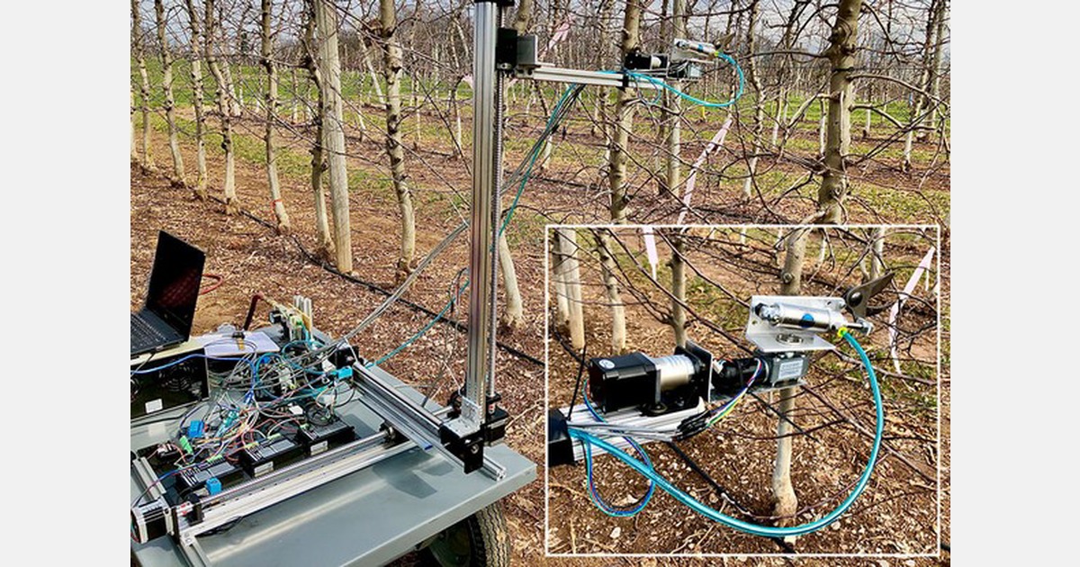 'Robotic arm is the first step towards automated pruning'