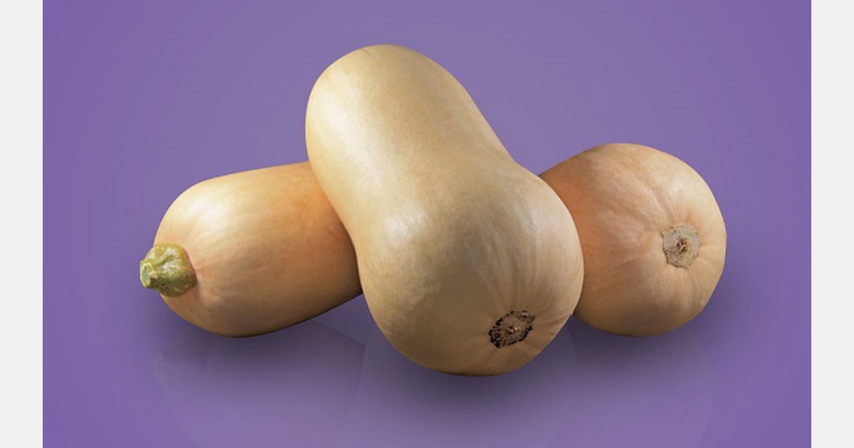 Enza Zaden introduces two butternut varieties developed specifically ...