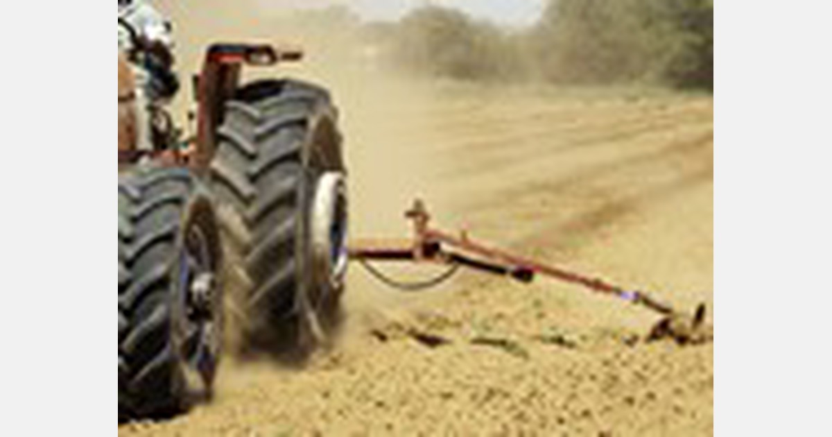 Growers in Zimbabwe turn to more water-wise farming options