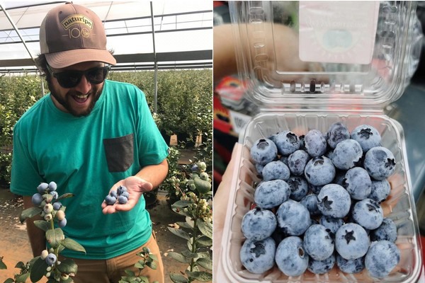 First Peruvian blueberries arrive in China