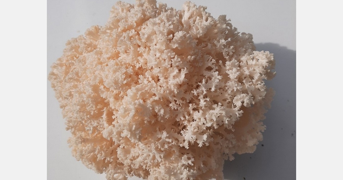 "It has been quite a journey for us to bring a new product onto the ...