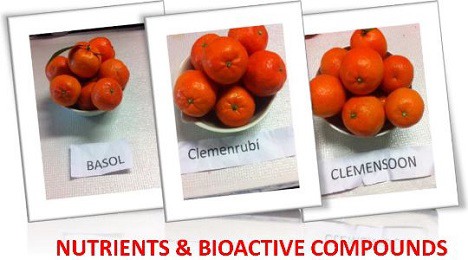 Extra early Spanish Clementine varieties with functional value