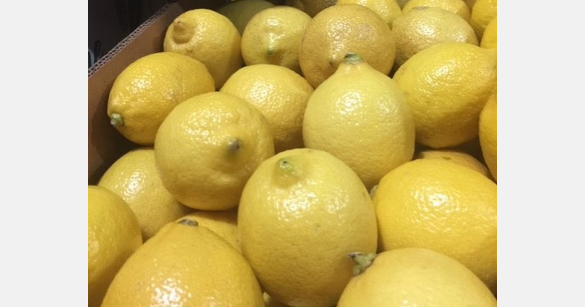 “There are more lemons than business”