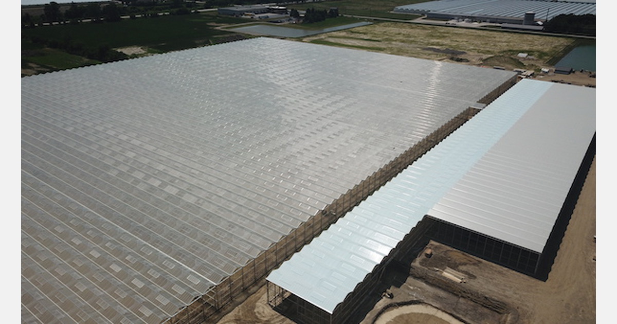 High-tech greenhouse investments in Canada, the USA, and Mexico