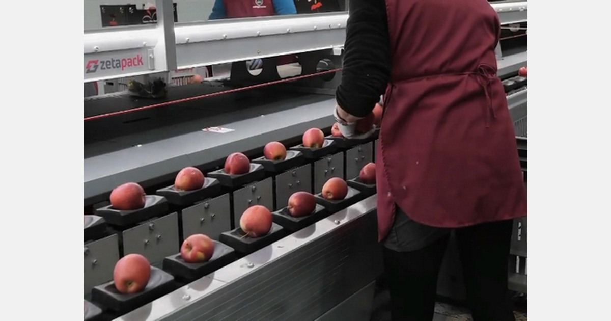 New fruit and vegetable grading technology headed to the Australian market