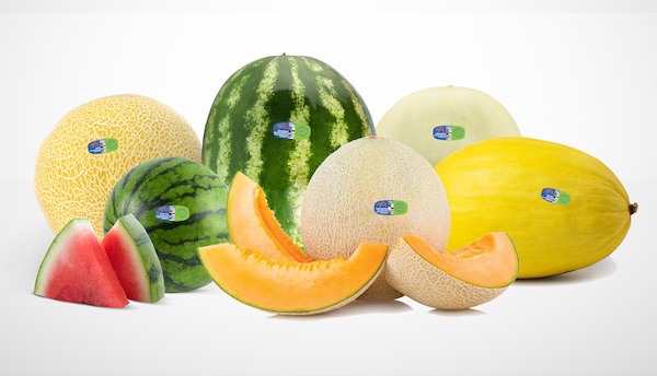 "This season we're bringing back the Galia and Juan Canary melons"