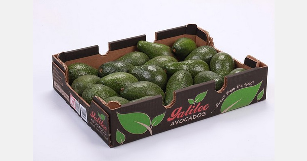 One Israeli company dominating avocado exports