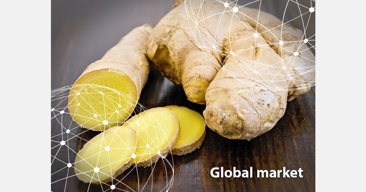 OVERVIEW GLOBAL GINGER MARKET