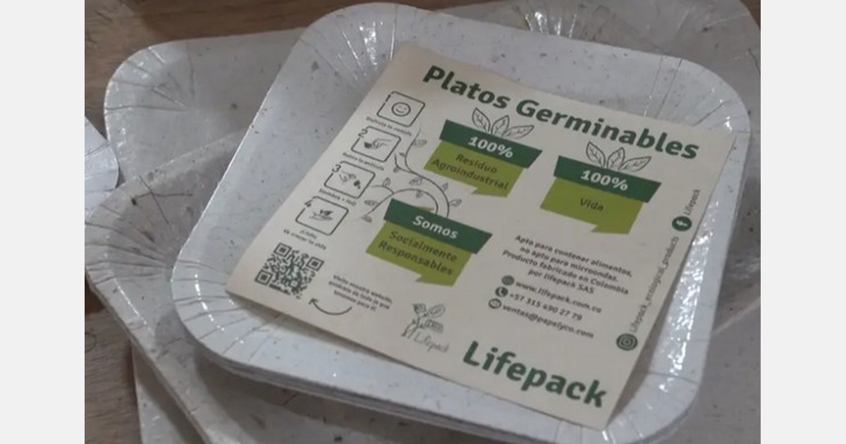 Colombian biodegradable plates made from pineapples