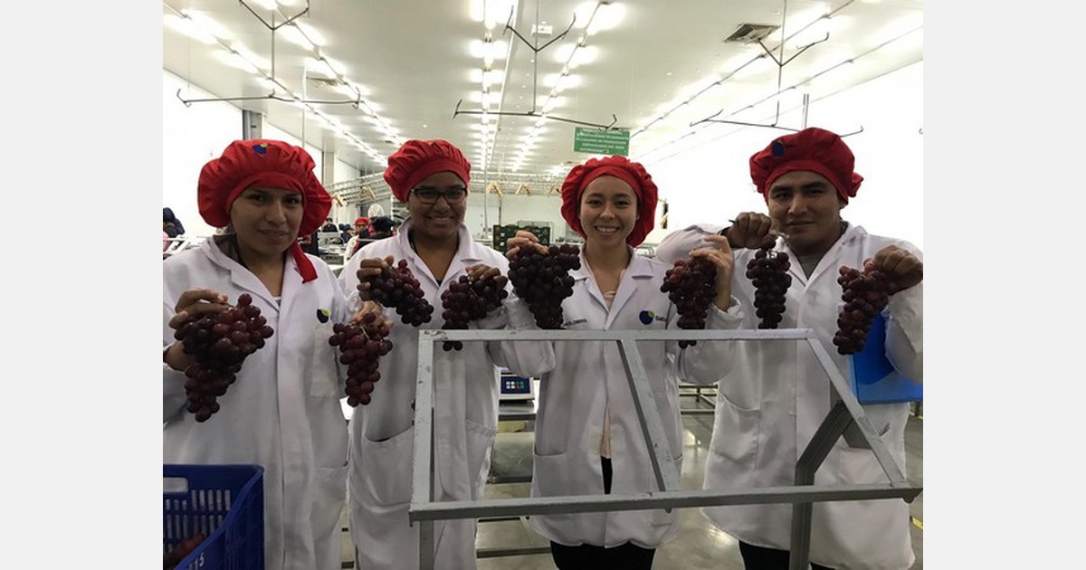 Awe Sum Organics making a difference in both the local and global community