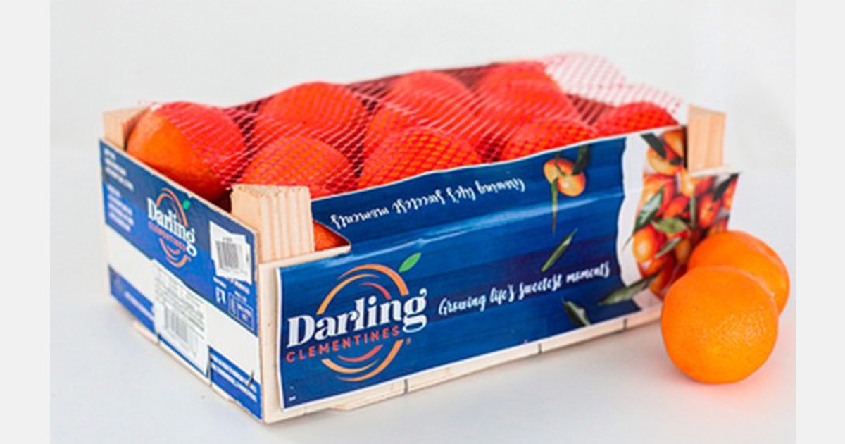 Demand is strong for imported citrus