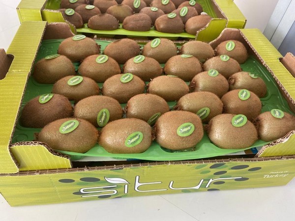 “Turkey’s kiwi production is up 300% compared to10 years ago”