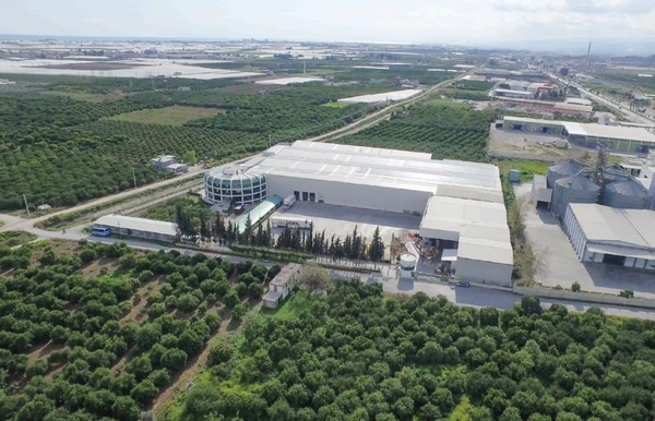 “Turkey’s kiwi production is up 300% compared to10 years ago”