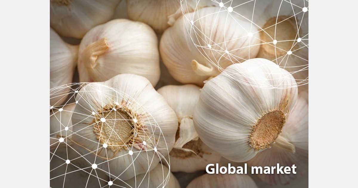 OVERVIEW GLOBAL GARLIC MARKET