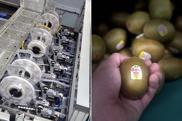 Opal and Accu-Label announce exclusive agreement to distribute paper ...