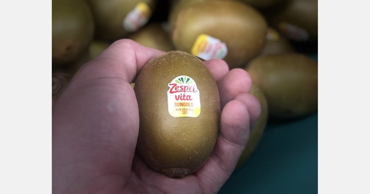 Opal and Accu-Label announce exclusive agreement to distribute paper ...