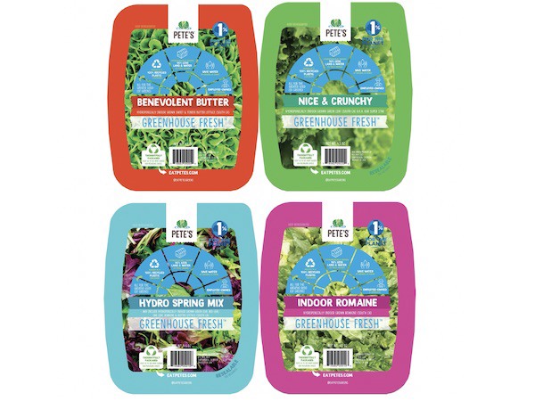 New packaged greenhouse grown hydroponic lettuce line to release in January