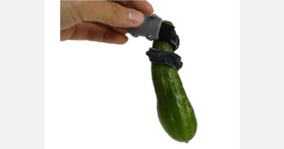 University of New South Wales develops robotic 'snake' device that can ...