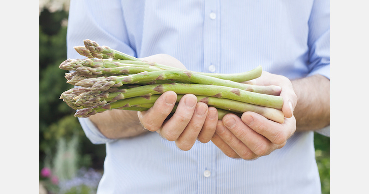 Steady Peruvian asparagus volumes continue