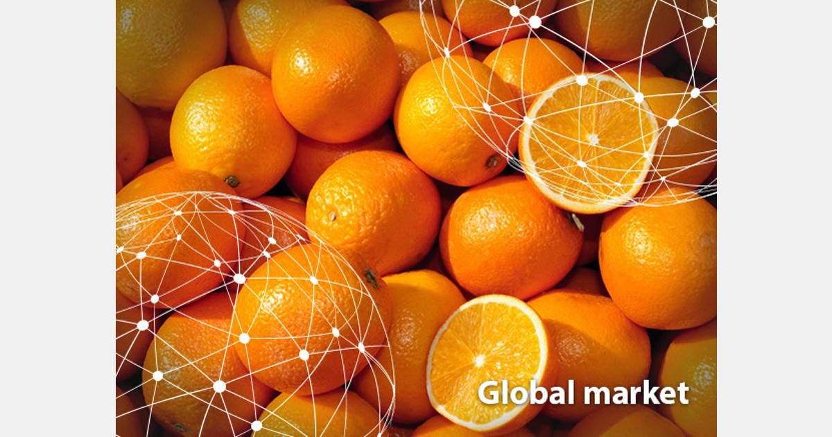 OVERVIEW GLOBAL ORANGE MARKET