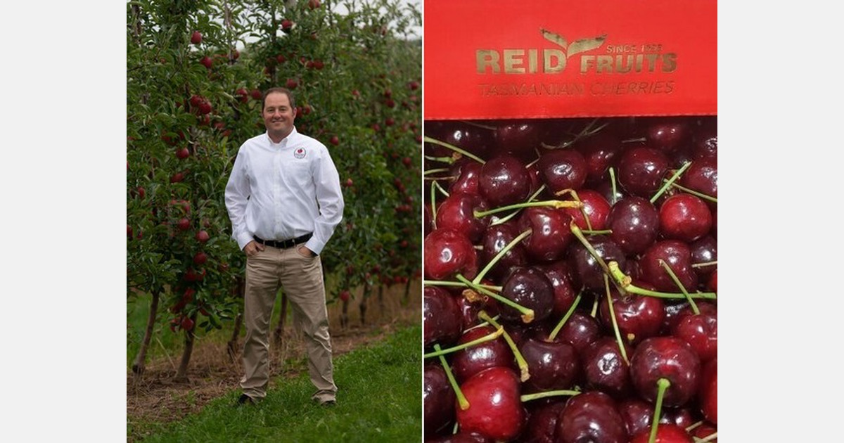 Winter import cherry program continues expanding