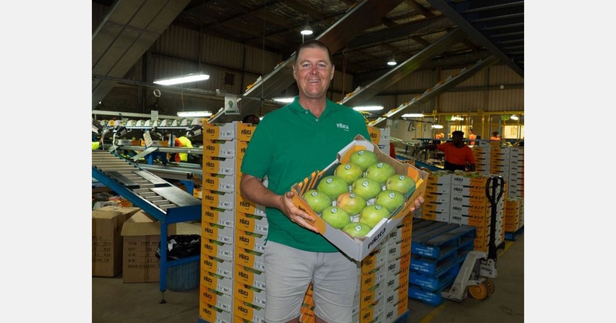 Favourable weather and season expansion points to a strong end to 2020