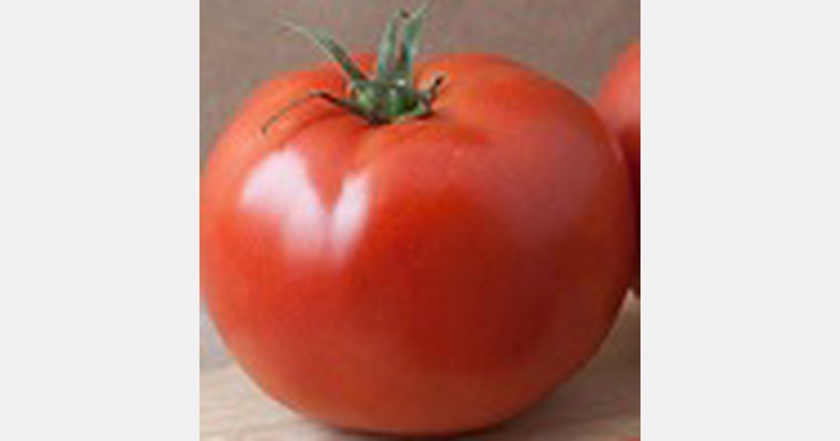 Hot-water treatment works against chilling injury symptoms in fresh ...