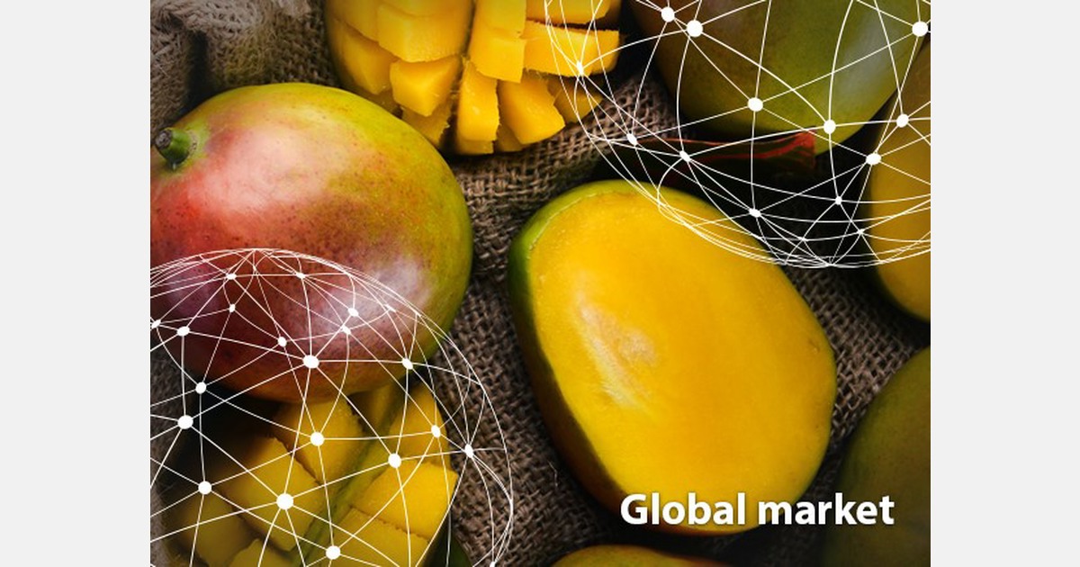 OVERVIEW GLOBAL MANGO MARKET